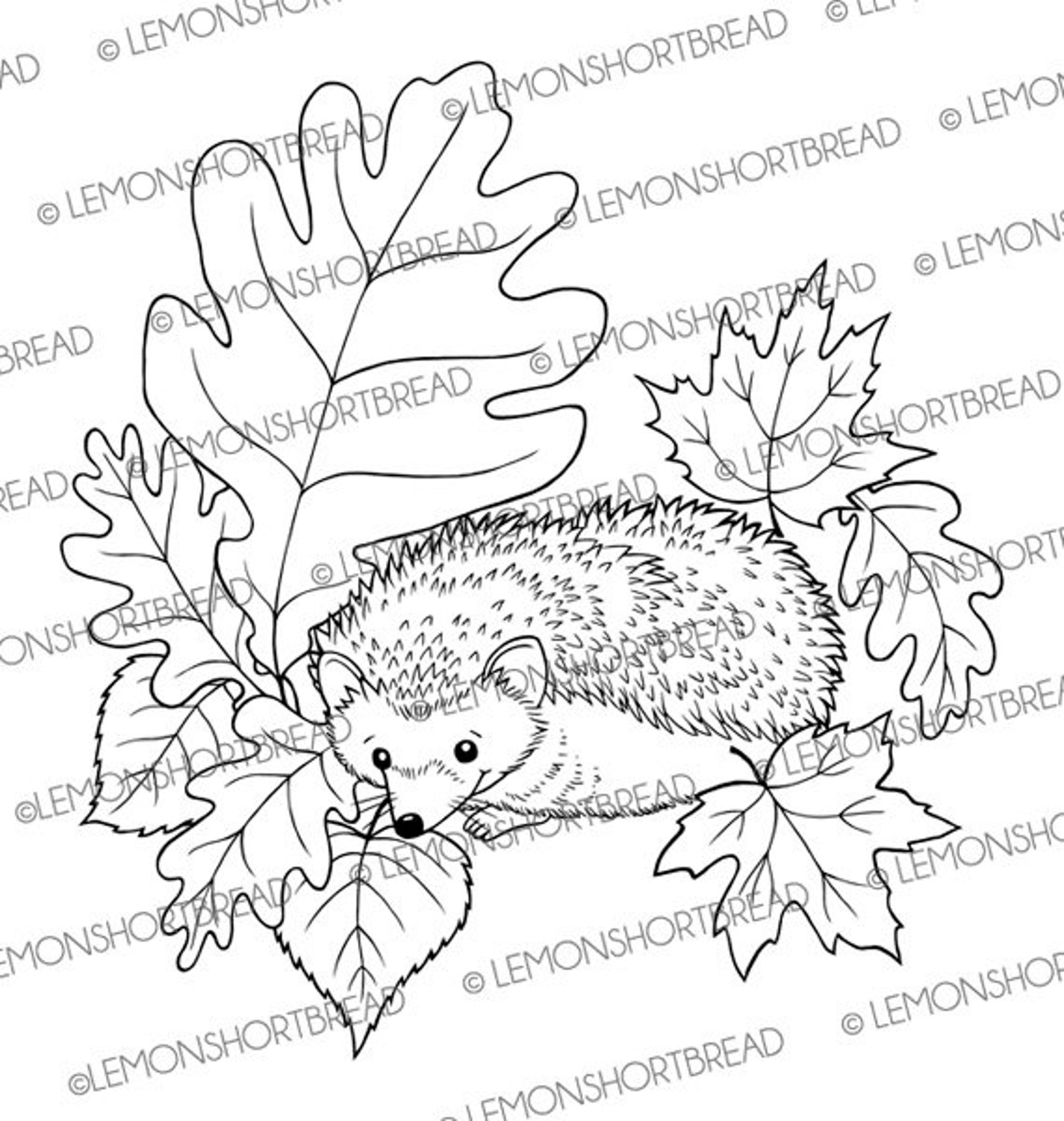 Digital Stamp Hedgehog Leaves, Digi Autumn Fall, Coloring Page, Cute ...