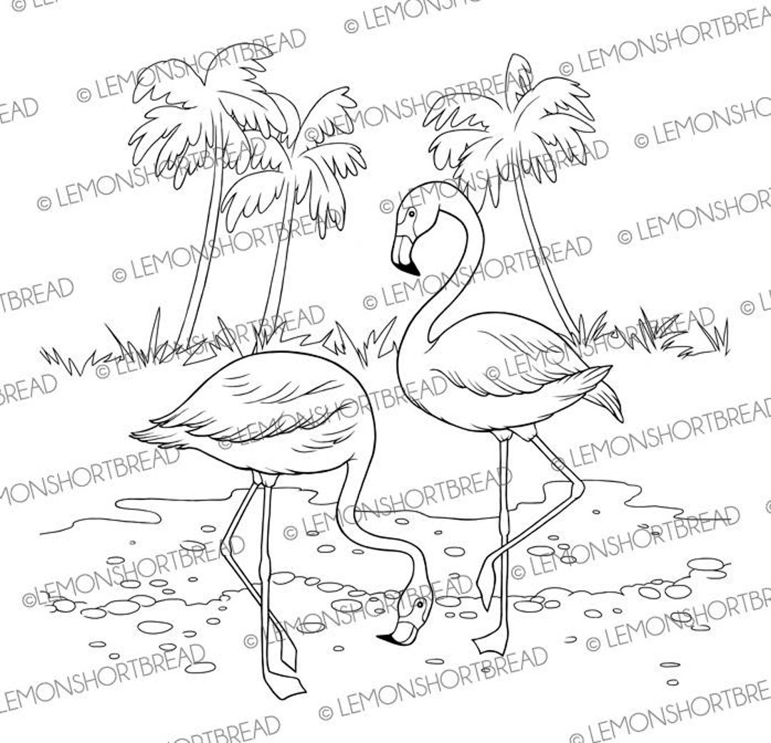 Digital Stamp Flamingo, Digi Flamingoes Tropical Birds, Summer Image ...