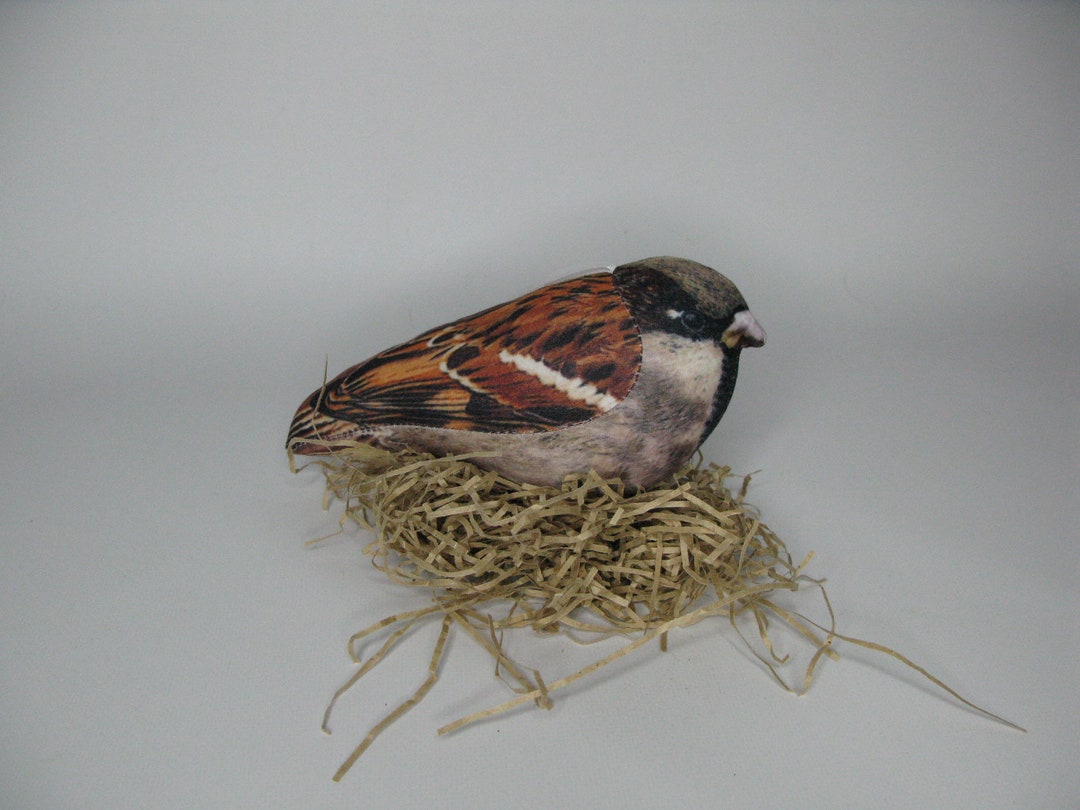 Sparrow. Little Bird. Soft Toy. Miniature. Ornithology. Doll Pet ...