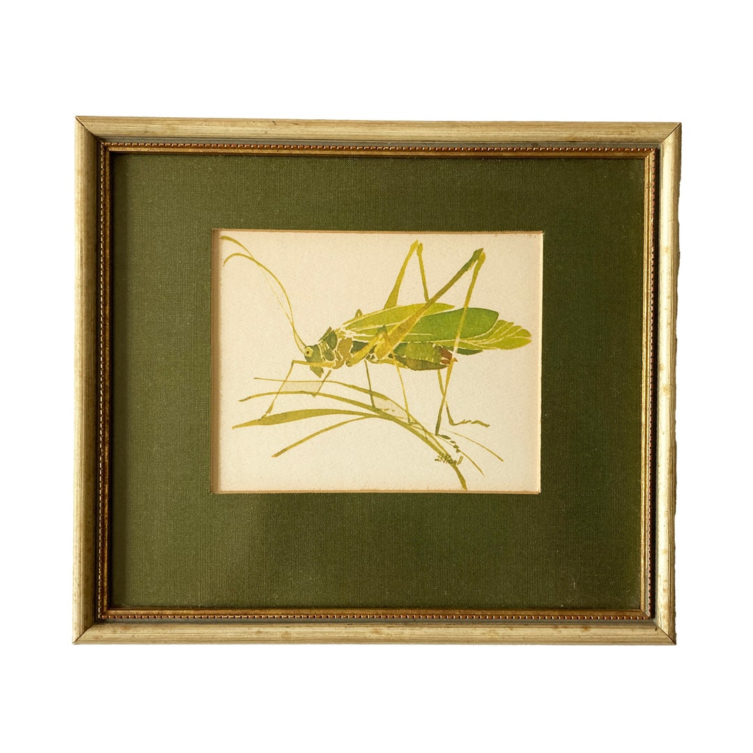 Paul Rous Grasshopper Framed Print of Watercolor Swedish Artist - Etsy