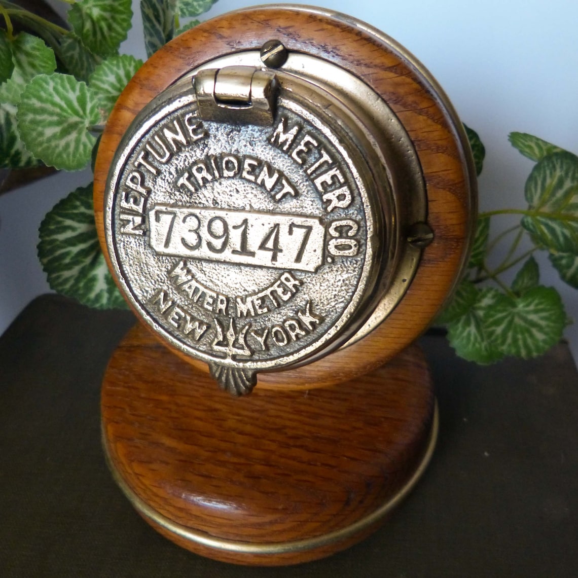 Neptune Meter Co Trident Water Meter New York Mounted As a | Etsy