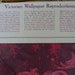 The Evergreen Press Victorian Wallpaper Gift Wrap Package of 3 Sheets ...