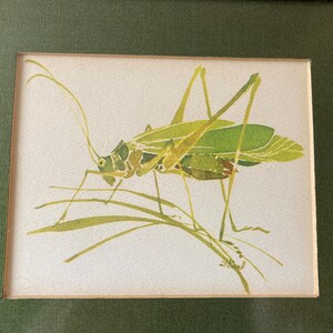 Paul Rous Grasshopper Framed Print of Watercolor Swedish Artist - Etsy
