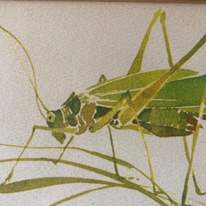 Paul Rous Grasshopper Framed Print of Watercolor Swedish Artist - Etsy