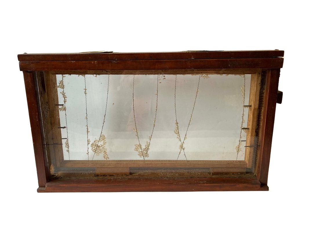 Wood & Glass Bee Hive Observation Box Honeybee Insect Vintage - Etsy