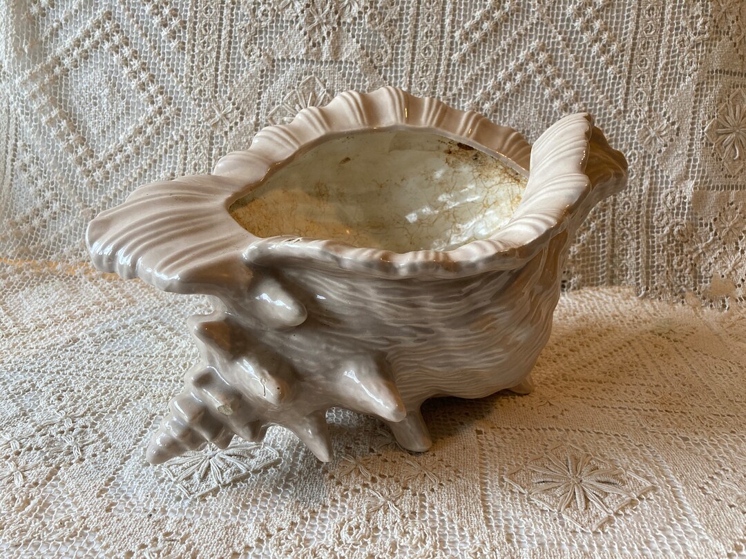 Large Ceramic Conch Shell Planter Rosy Cream - Etsy