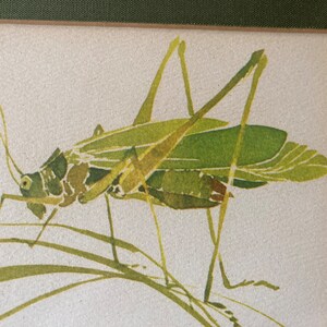 Paul Rous Grasshopper Framed Print of Watercolor Swedish Artist - Etsy