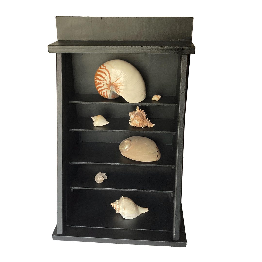 Wooden Countertop Store Display Case 4 Shelves Painted Black - Etsy