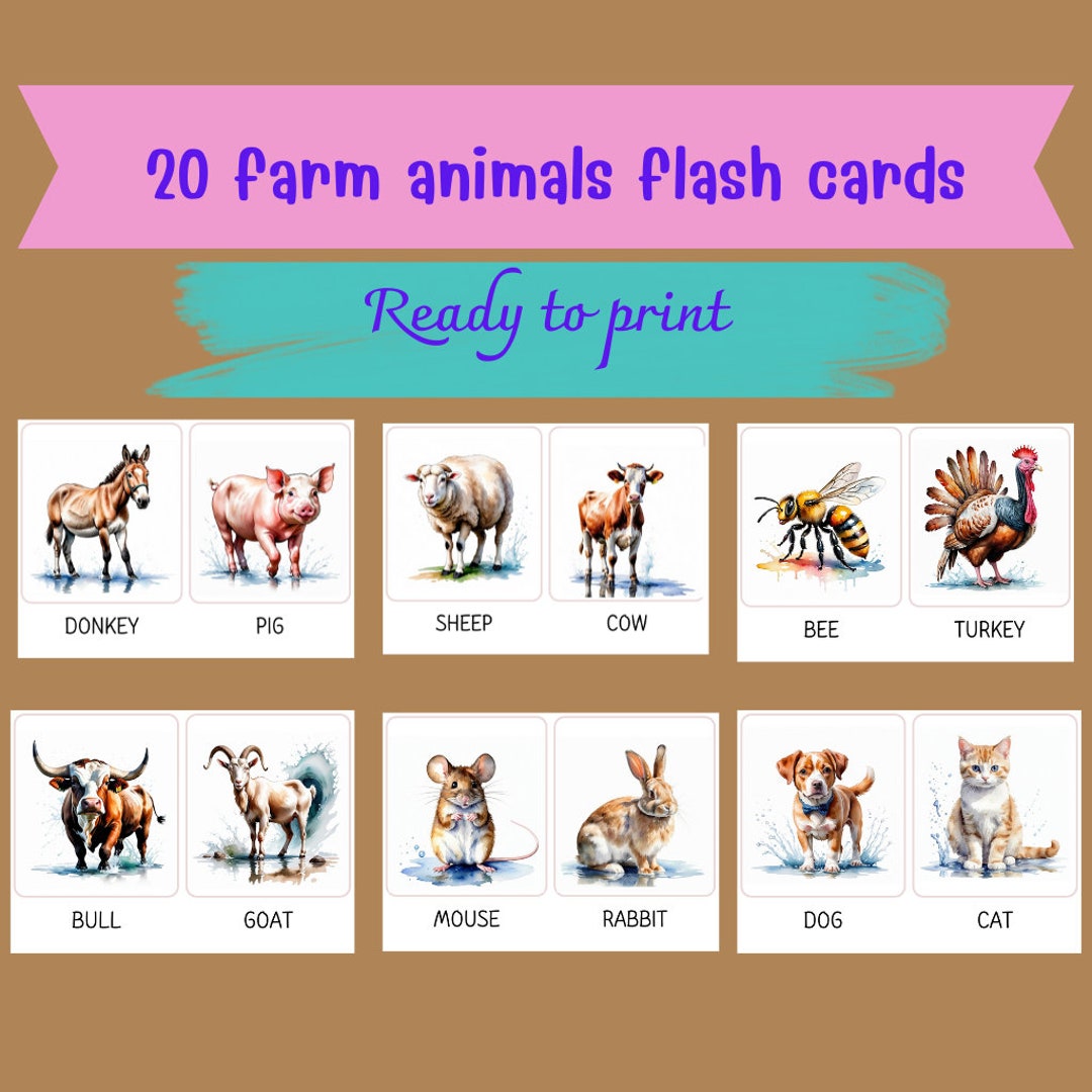 20 Farm Animals Flash Cards for Kids or Homeschool Students or for ...