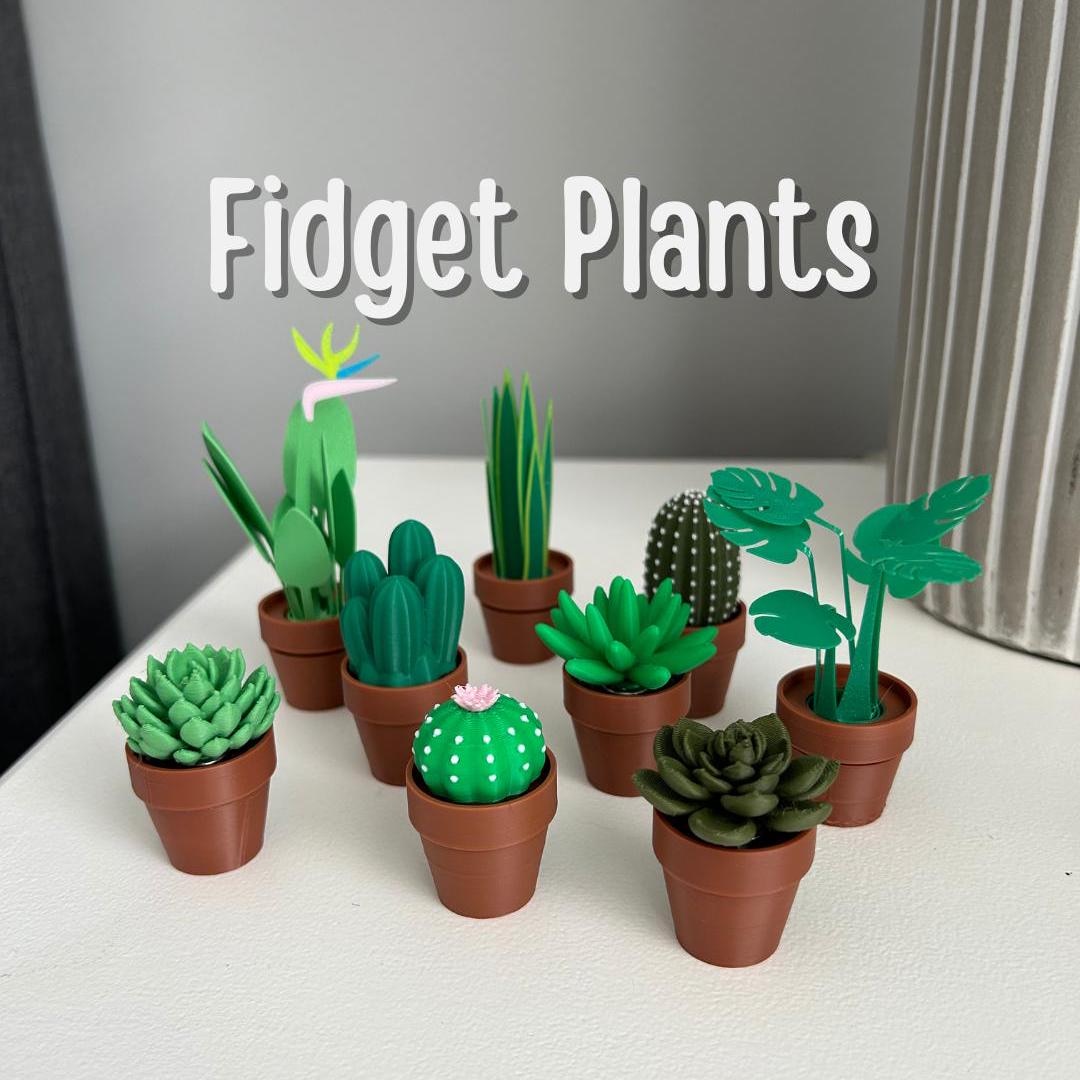 Fidget Plants - Etsy