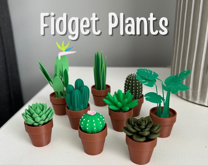 Fidget Plants - Etsy