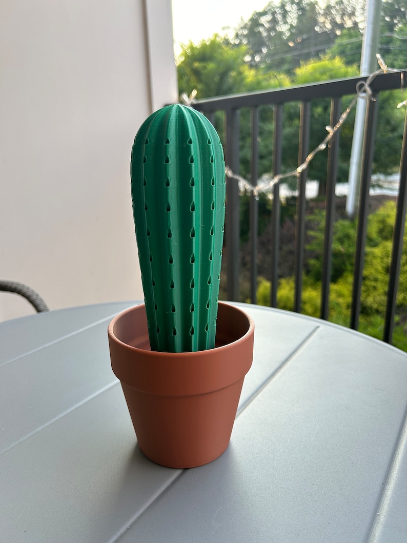Cactus Toothpick Holder - Etsy