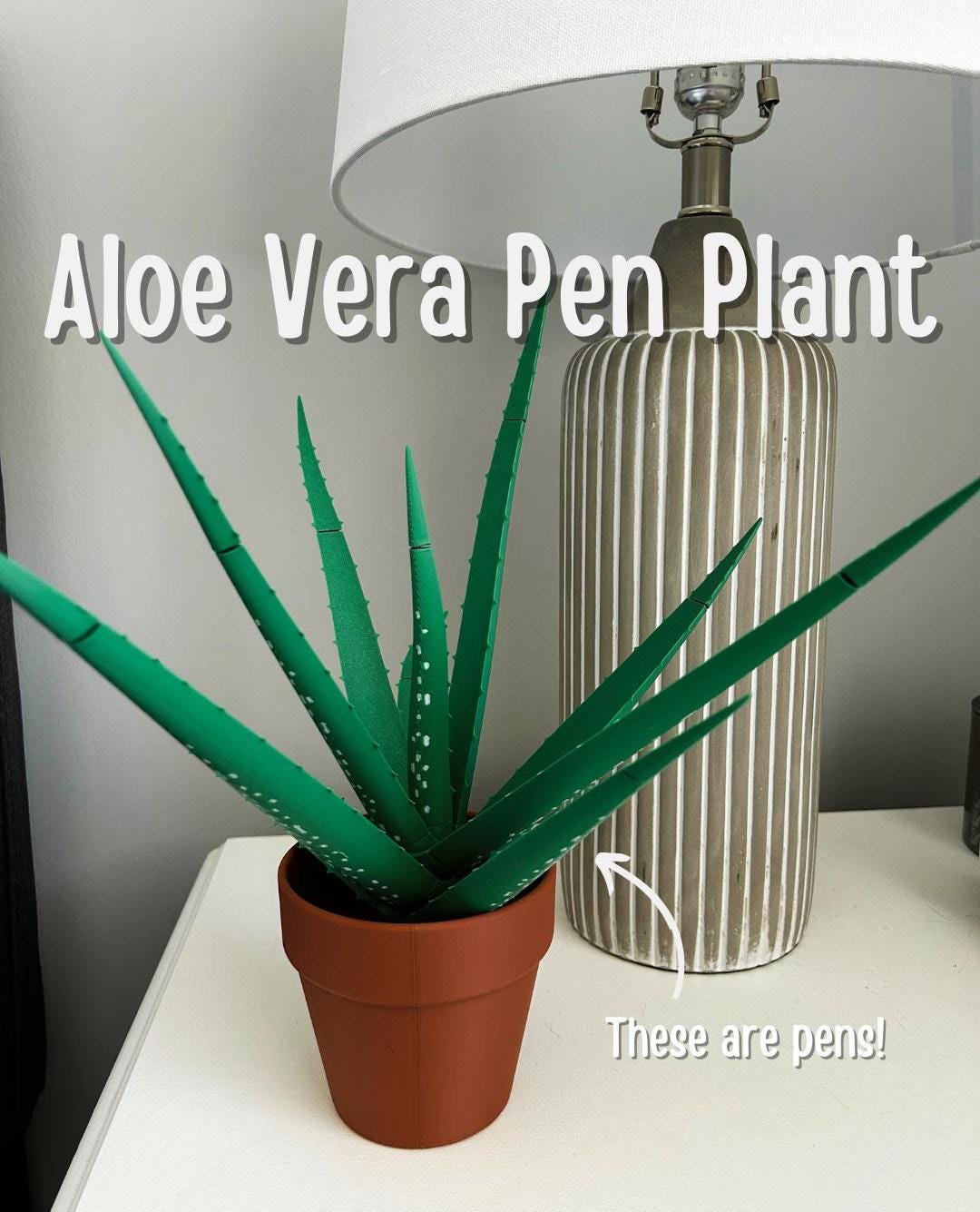 Aloe Vera Pen Plant - Etsy
