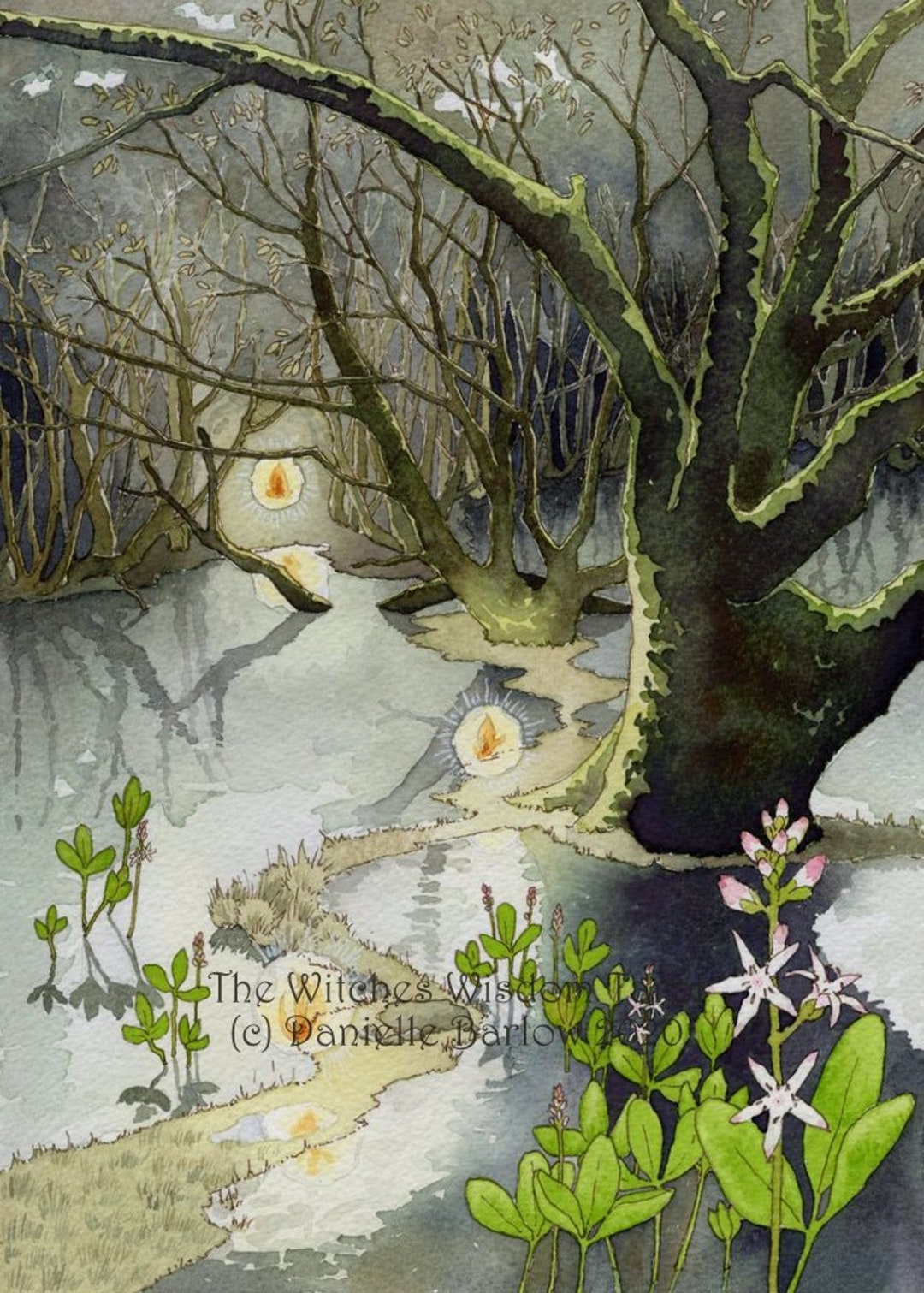 Three of Fire, Witches Wisdom Tarot, 3 of Wands - Etsy