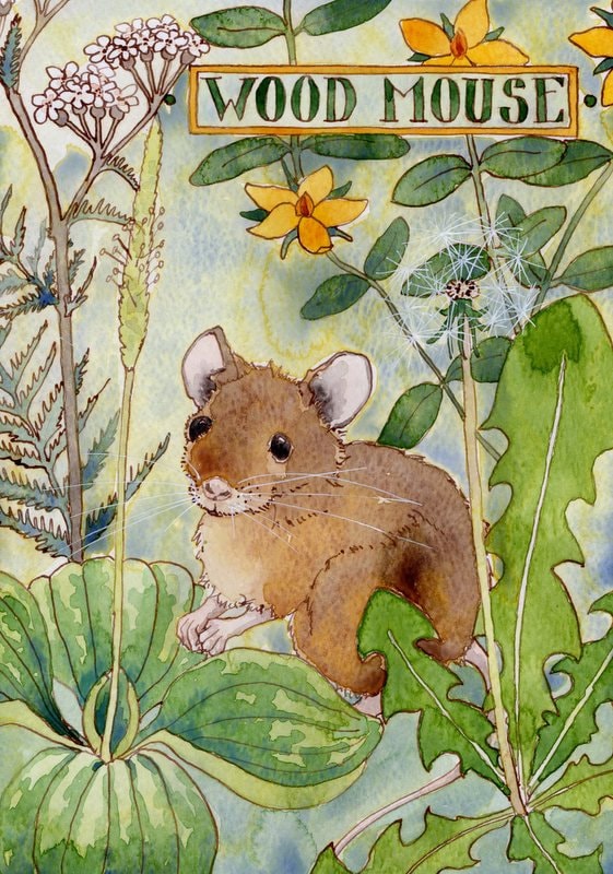 A4 Print 'woodmouse' From the Green Wheel Oracle - Etsy UK