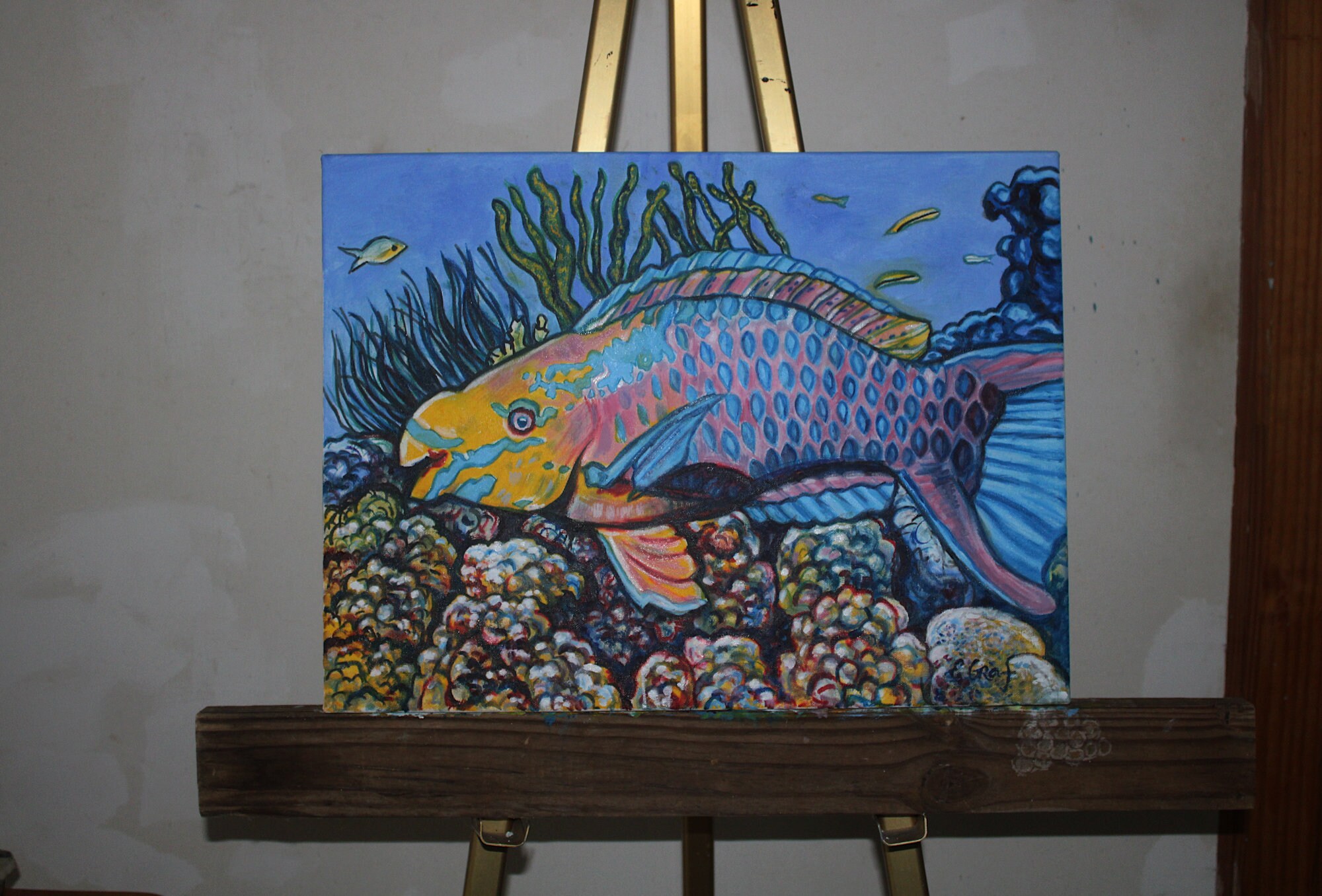 Parrotfish -- 18 X 24 Inch Original Oil Painting by Elizabeth Graf - Etsy