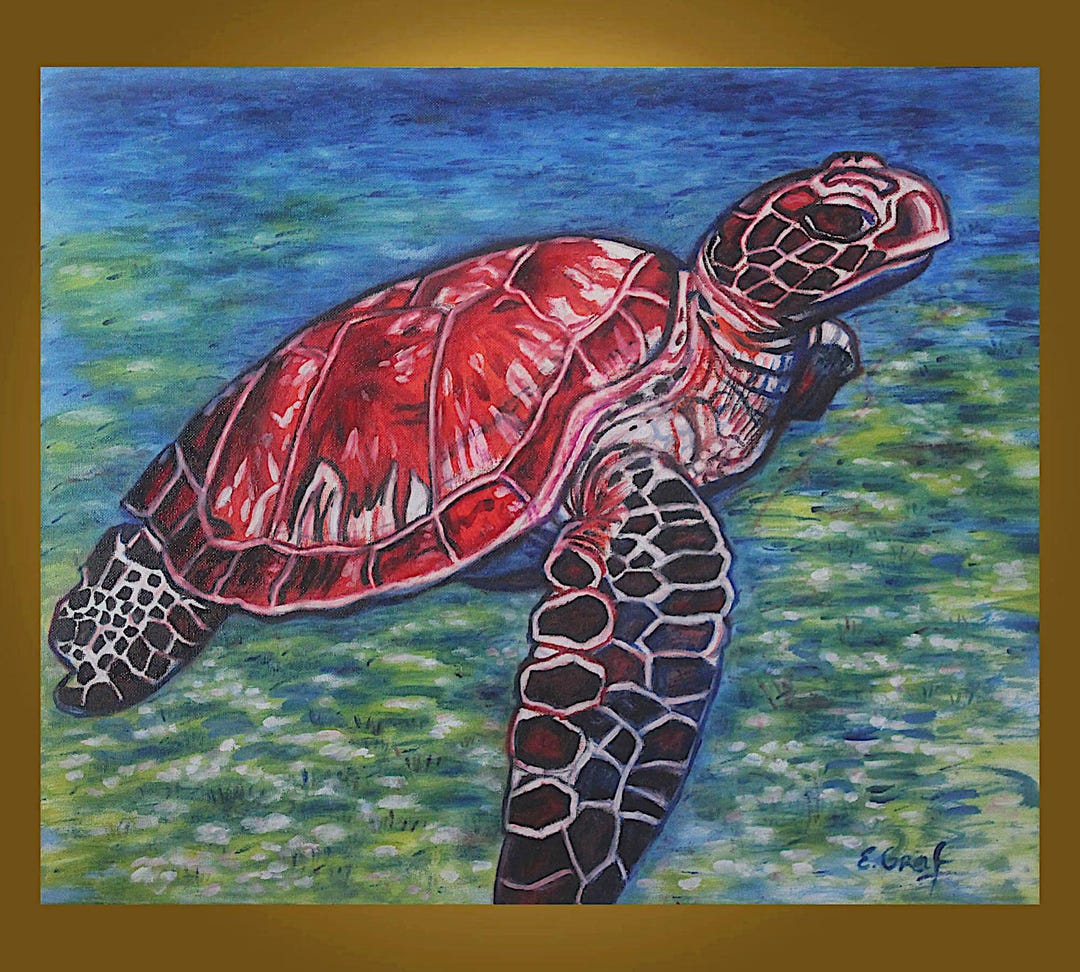 Red Sea Turtle Supreme -- 20 X 24 Inch Original Oil Painting by ...