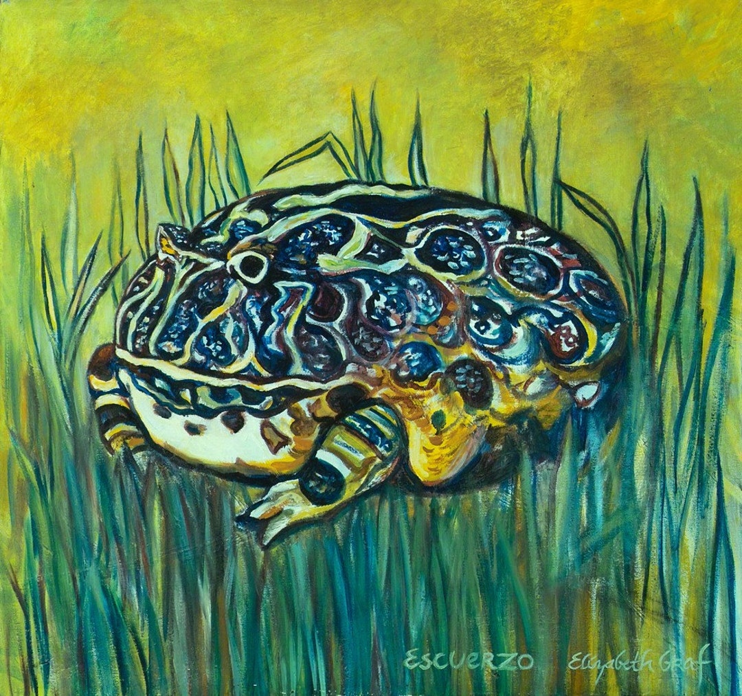 Escuerzo -- 32 X 32 Inch Original Oil Painting by Elizabeth Graf on ...