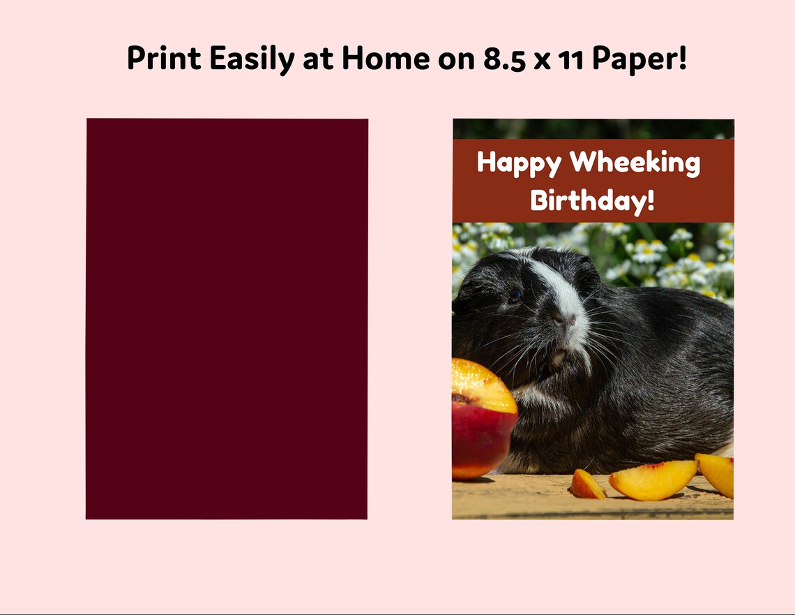 Printable Guinea Pig Card | Print at Home | Instant Download - Etsy