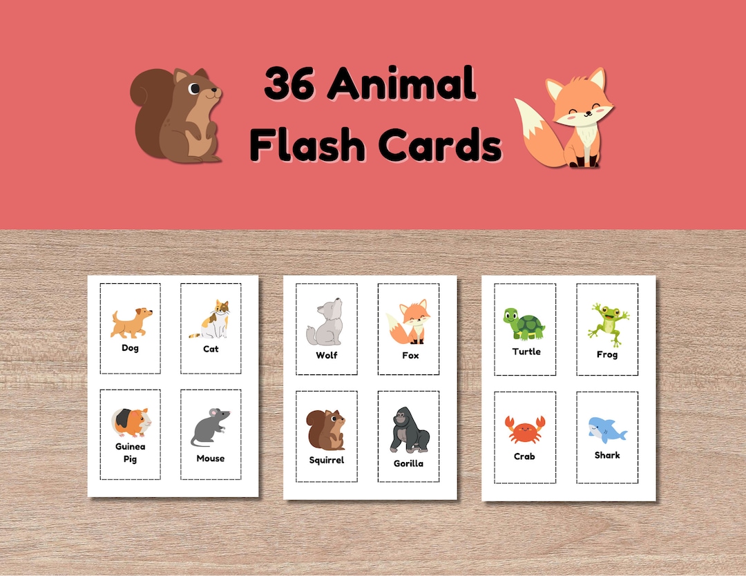Printable Animal Flash Cards for Kids - Digital Download - Etsy