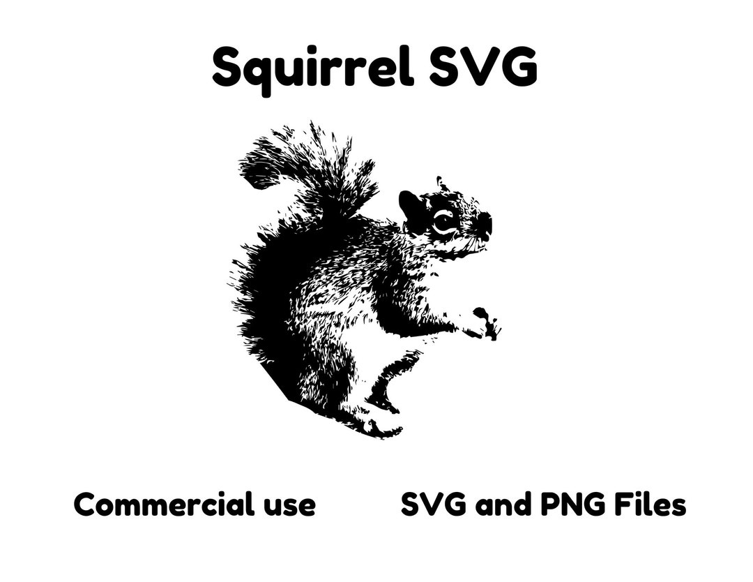 Squirrel SVG, High-resolution Vector Clipart (digital File) - Etsy
