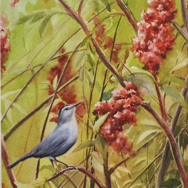 Catbird Painting - Etsy