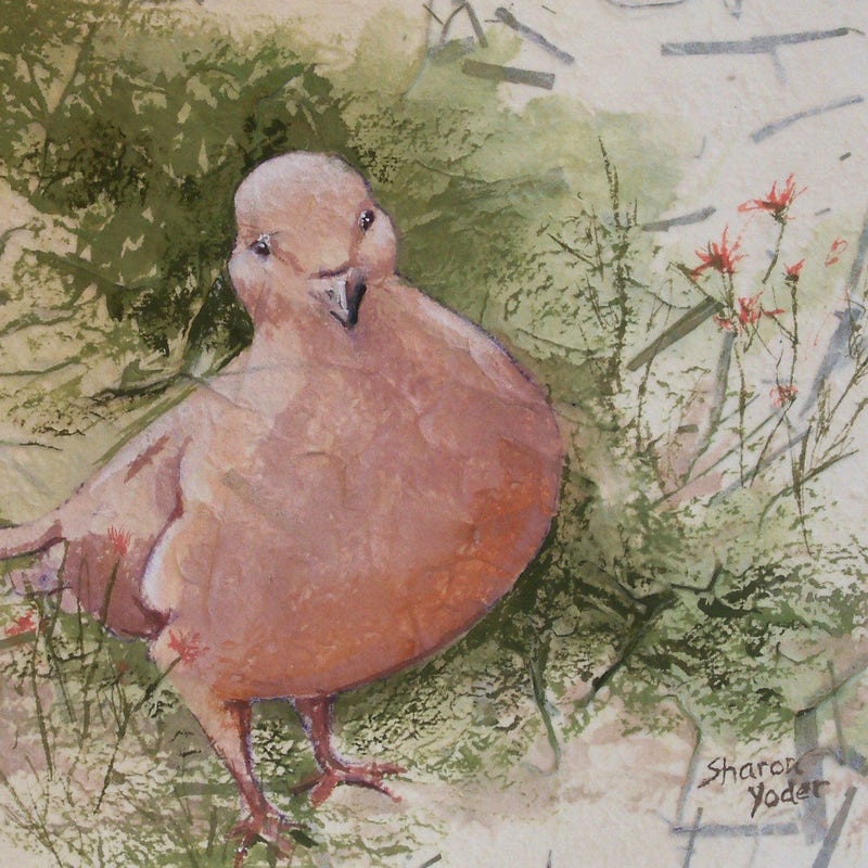 Dove Painting - Etsy