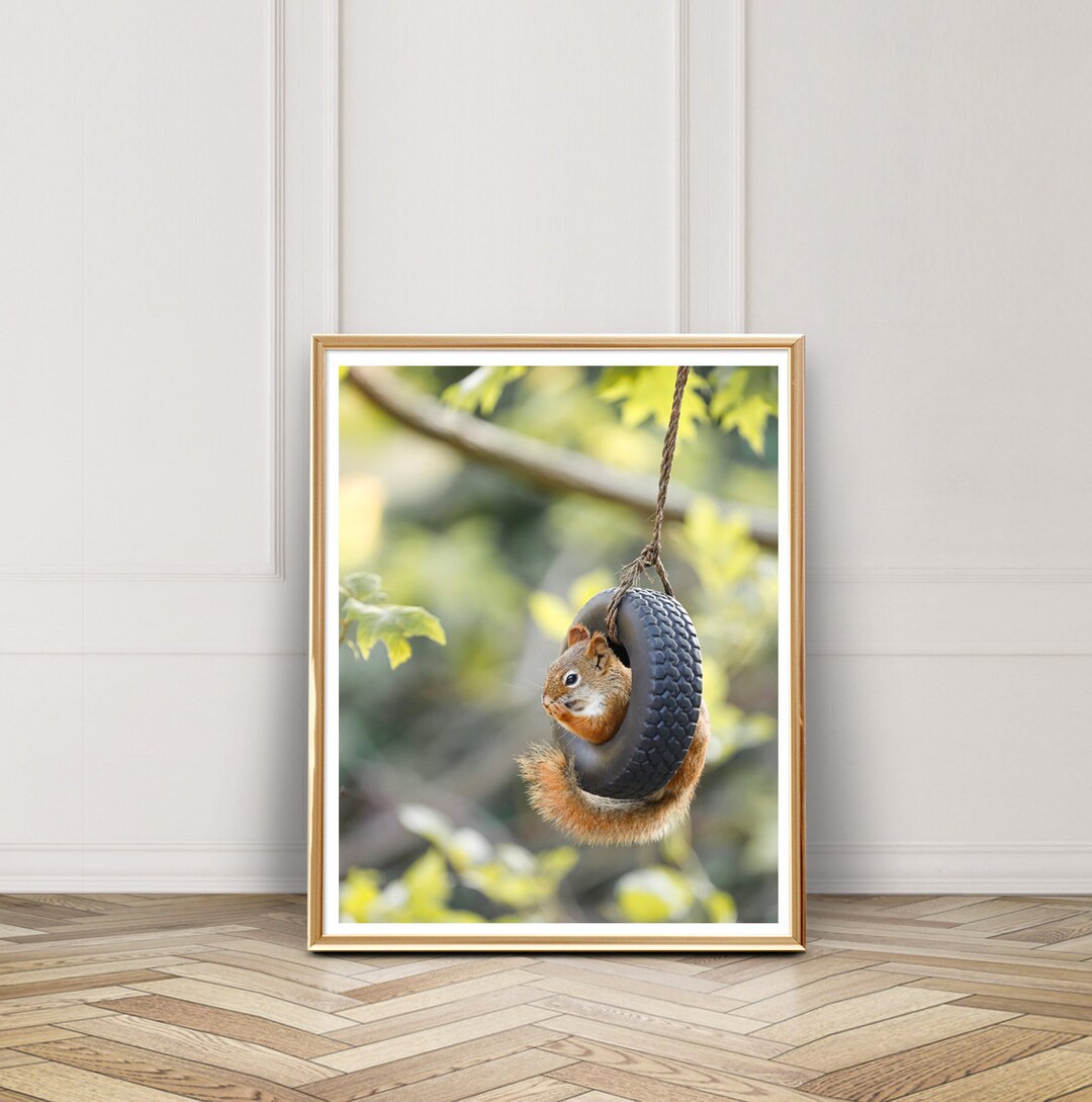 Wheeee Goes the Squirrel Photo - Digital Download - Instant Download ...