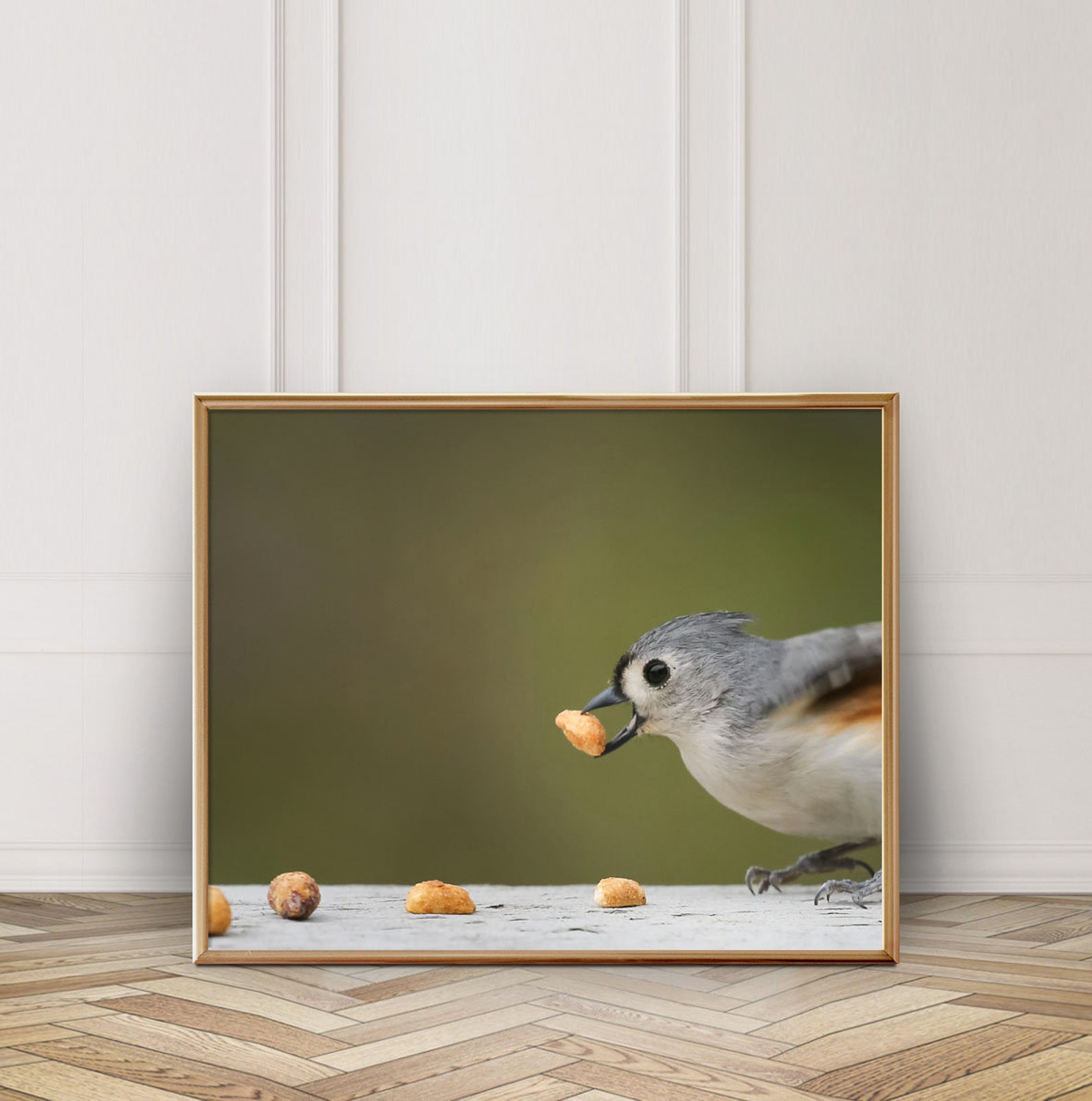 Nutty Titmouse Photo Digital Download Instant Download Printable ...
