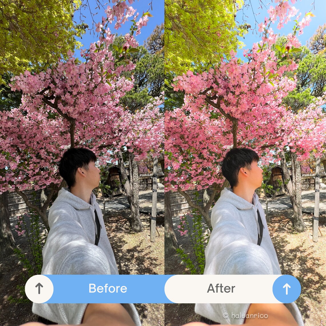 20 SPRING Mobile Lightroom LR Presets Dreamy Vibes Sakura Blooming Flower Soft Tone ADD ...