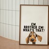 Digital Download I Work Hard so My Pet Poster Cheeky Wall Art Dog Quote ...