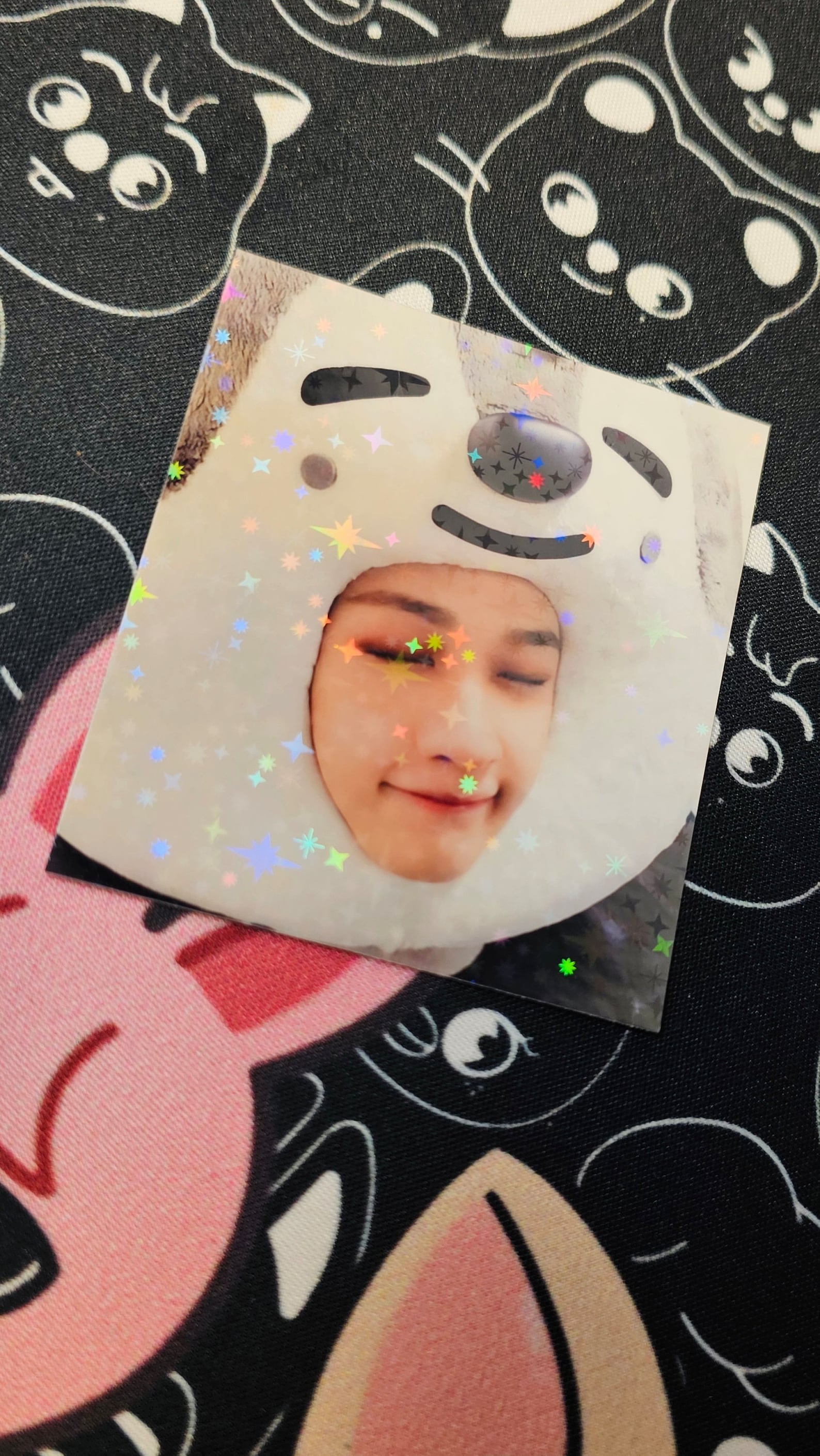 Stray Kids Bangchan Skzoo Wolf Chan Sticker / Kpop Sticker / Laminated ...