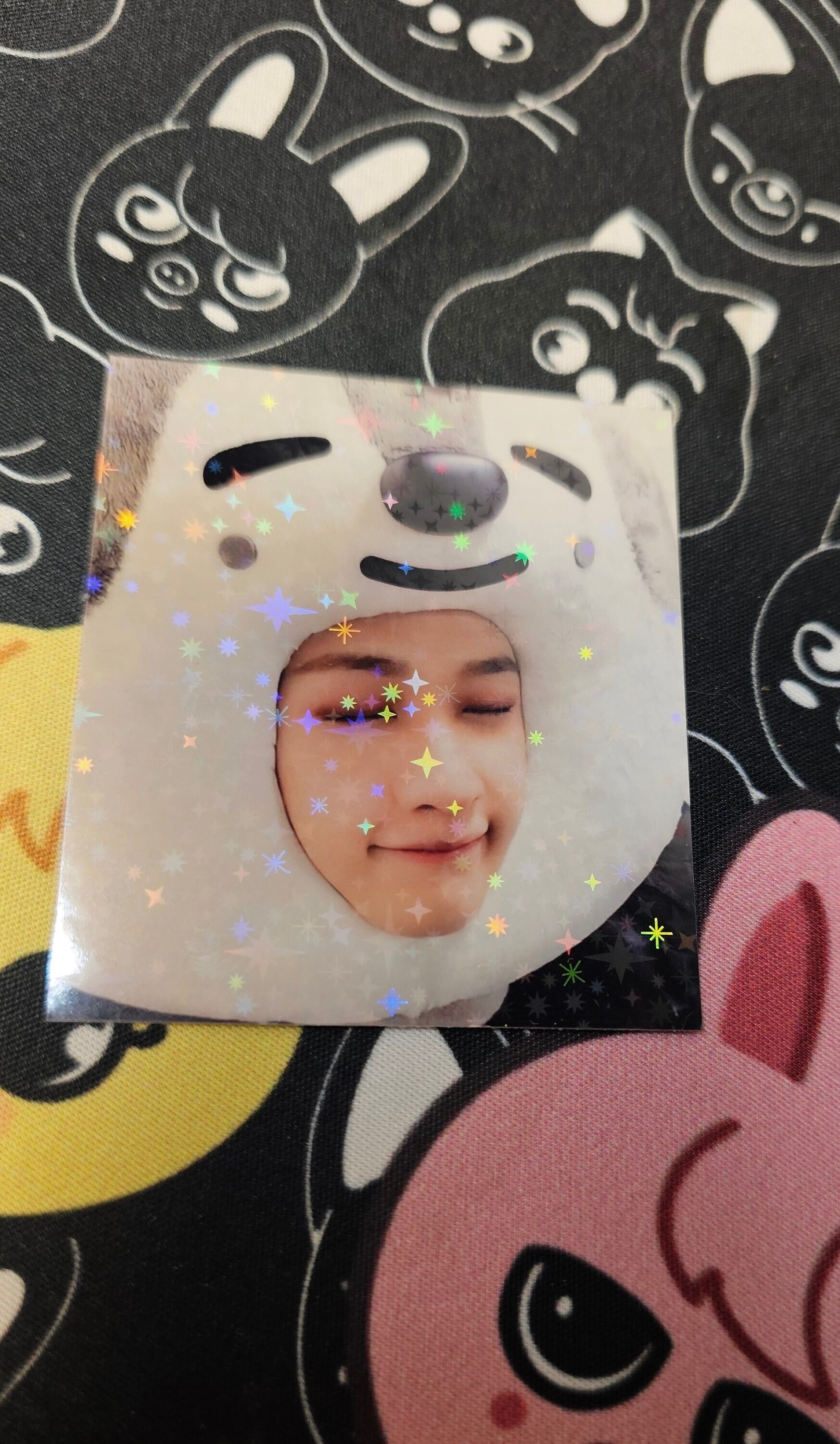 Stray Kids Bangchan Skzoo Wolf Chan Sticker / Kpop Sticker / Laminated ...