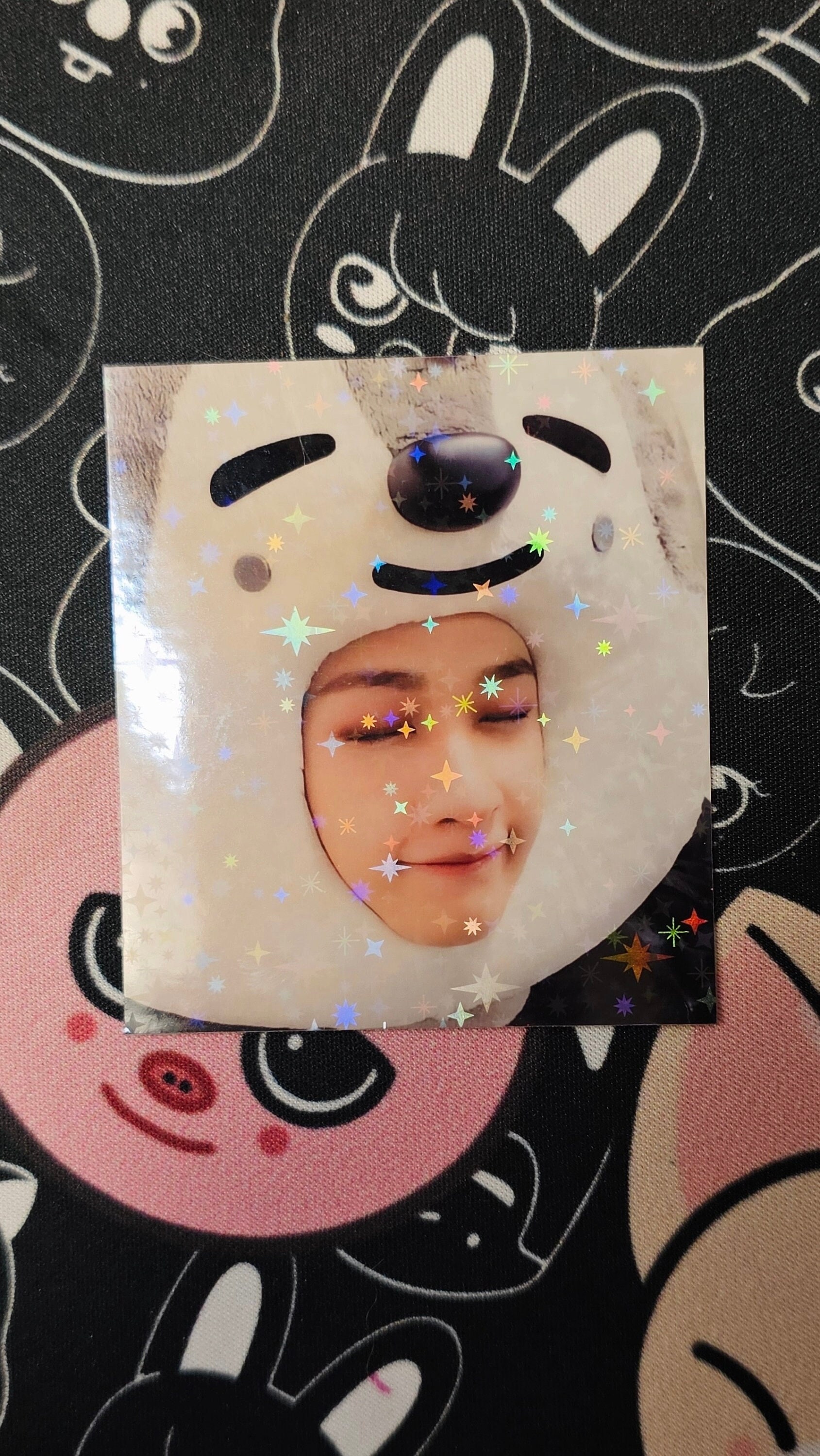 Stray Kids Bangchan Skzoo Wolf Chan Sticker / Kpop Sticker / Laminated ...