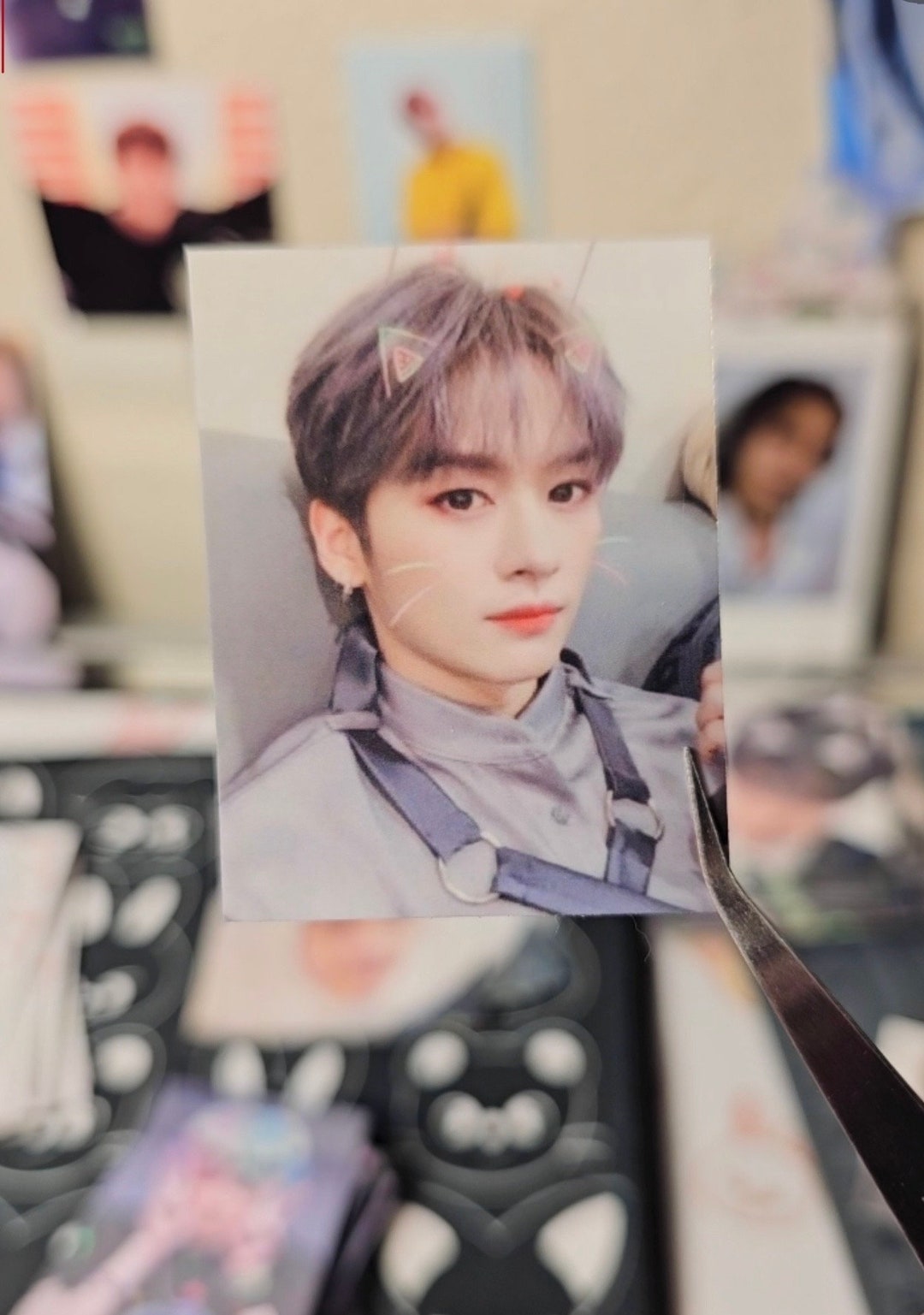 Stray Kids Lee Know With Cat Ears Sticker / Kpop Sticker / Laminated ...