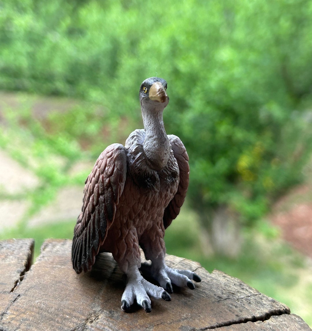 Miniature Vulture - Etsy