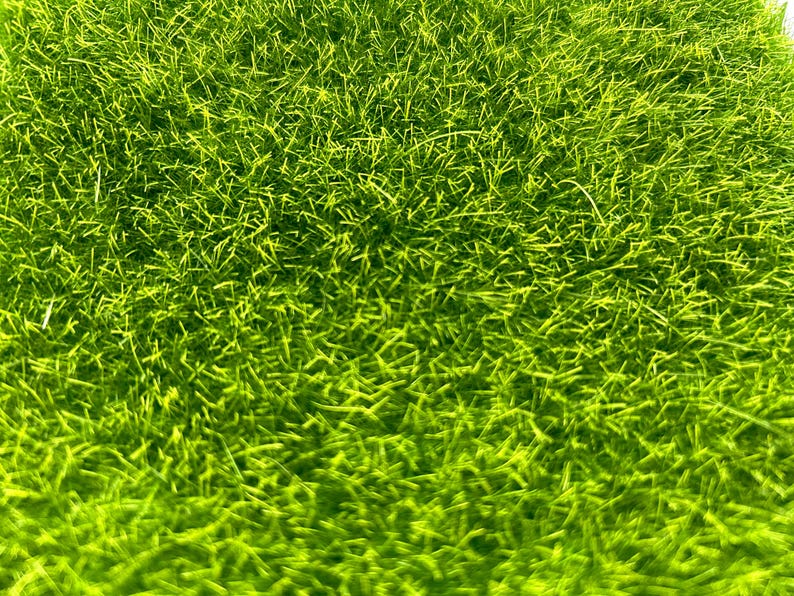 Miniature Fairy Garden Grass Patch - Etsy