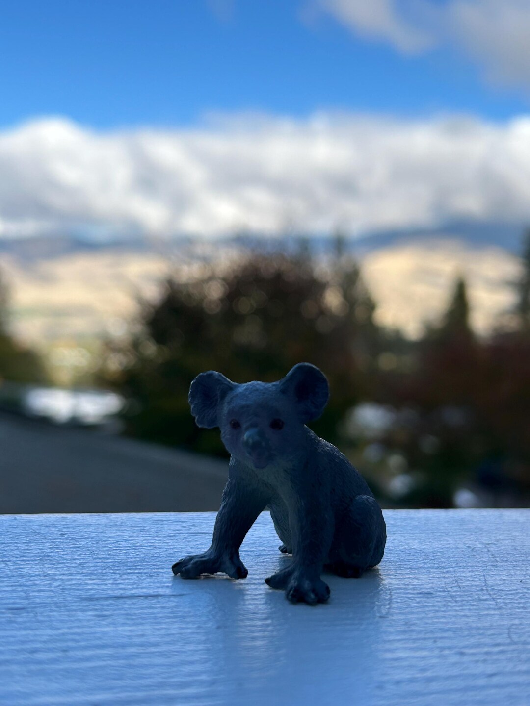 Miniature Koala Bear - Etsy