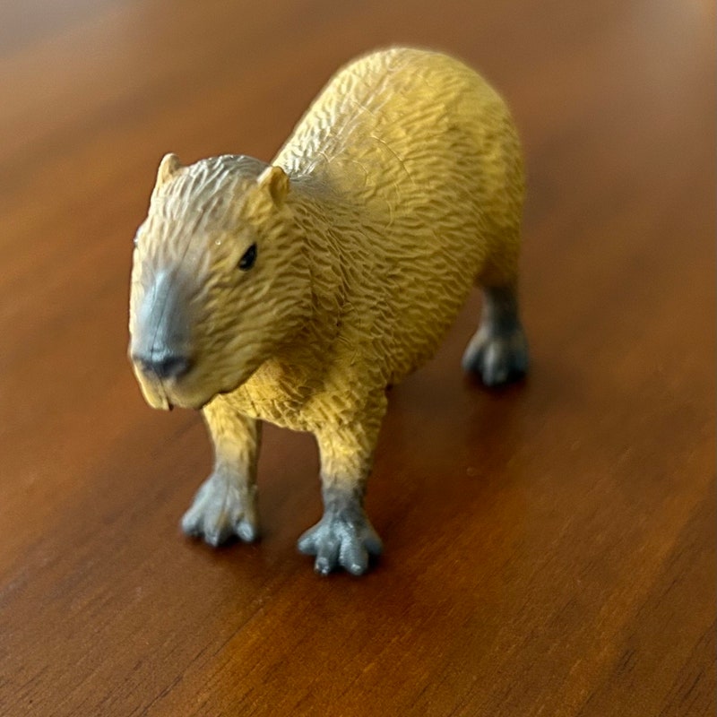 Capybara Mini Figurines - Etsy