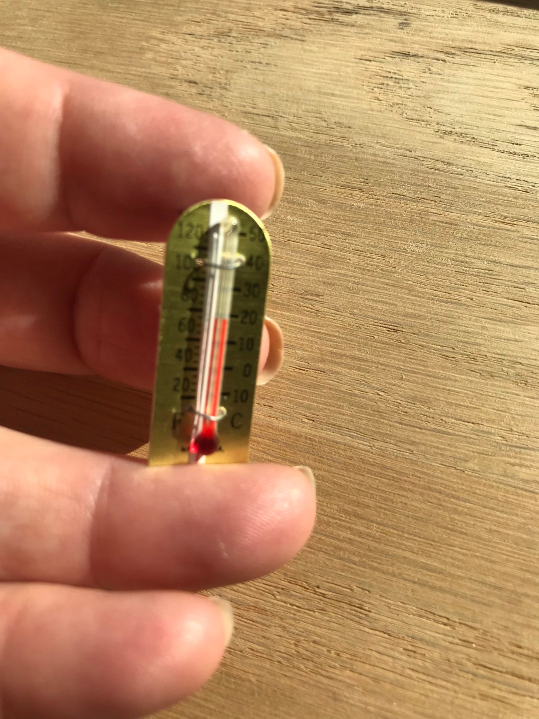 Miniature Outdoor Thermometer - Etsy