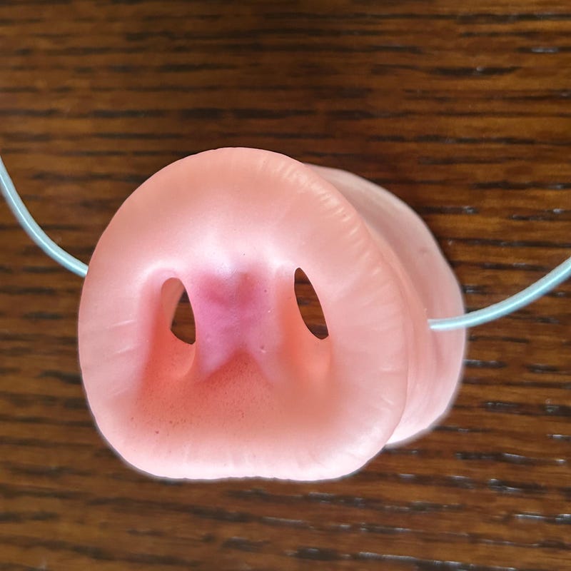 Pig Nose Costume - Etsy