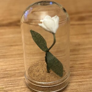 Miniature Glass Dome With Rose - Your Choice Color - Etsy