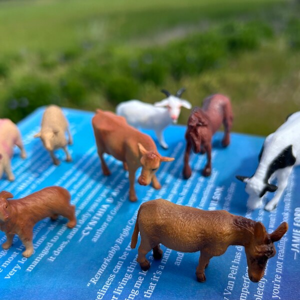 Miniature Farm - Etsy