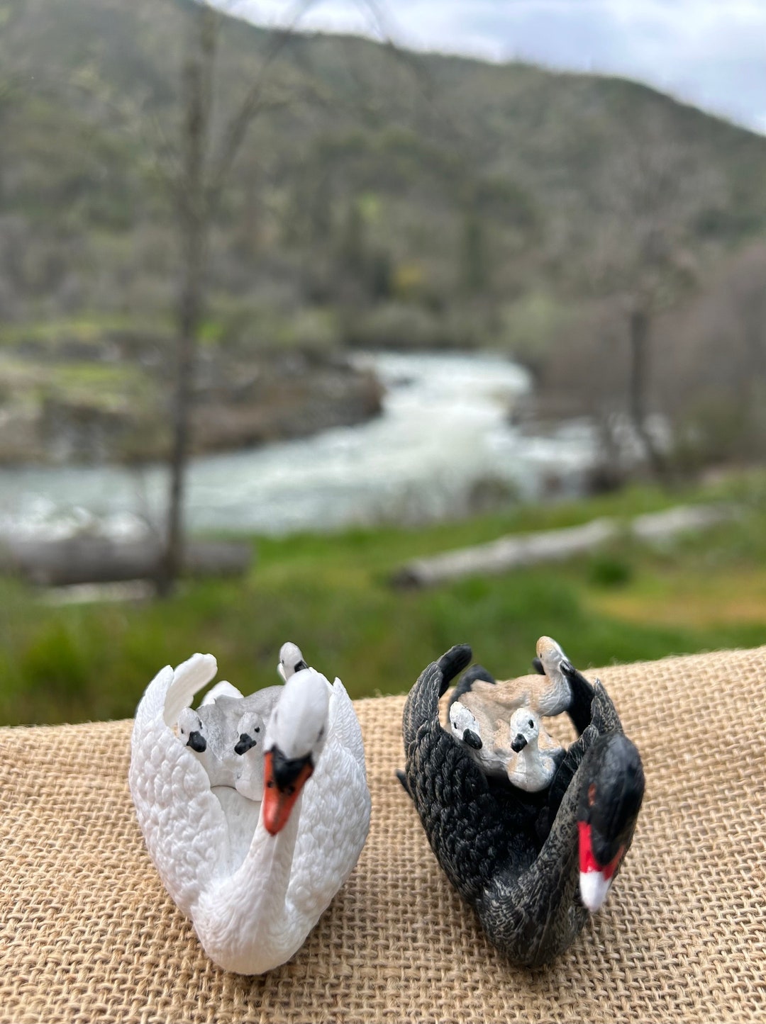 Dollhouse Miniature Swan - Your Choice Type - Etsy