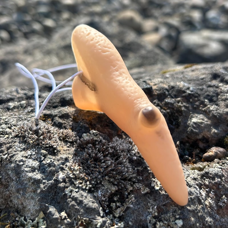 Witches Nose - Etsy