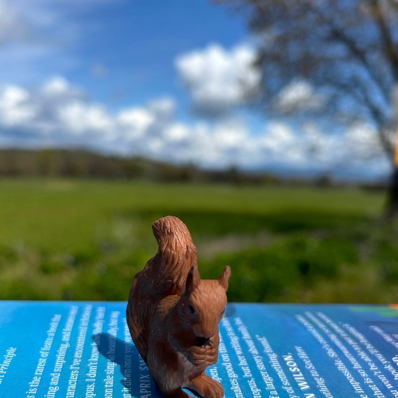 Squirrel Miniature - Etsy