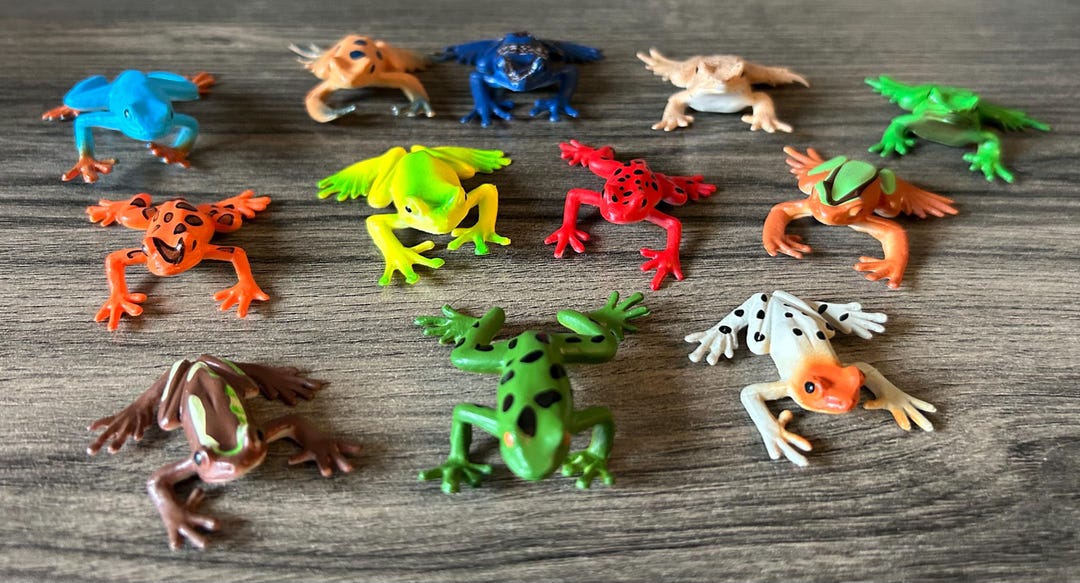 Miniature Frogs - 12 Pieces - Your Choice Type - Etsy