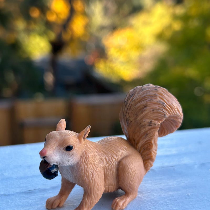 Squirrel Miniature - Etsy