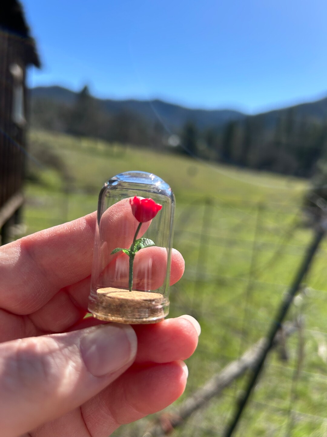 Miniature Glass Dome With Rose - Your Choice Color - Etsy