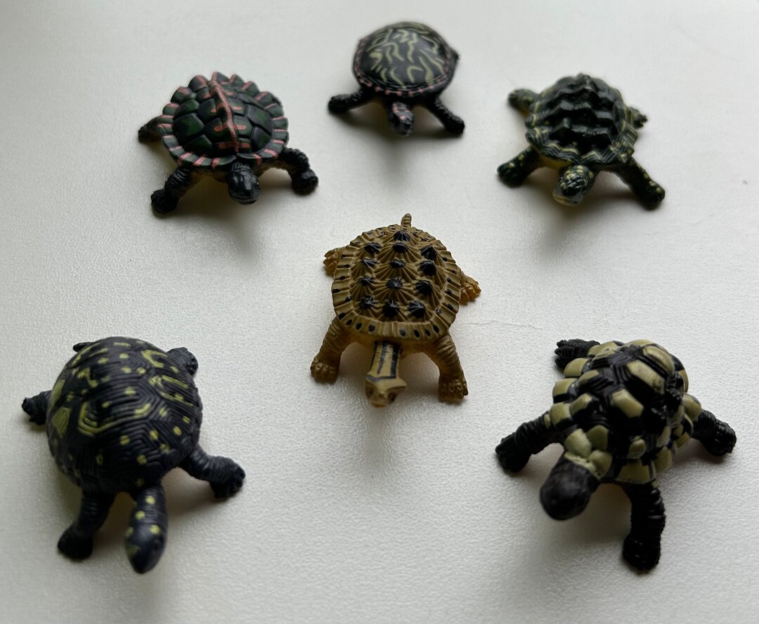 Miniature Turtle - Your Choice Type - Etsy